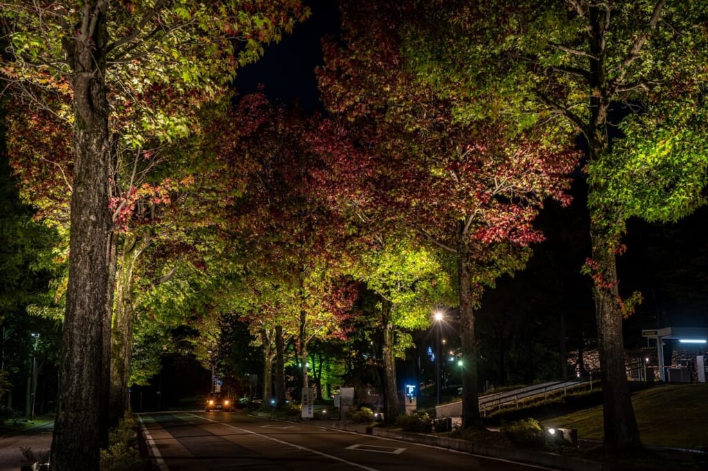 金沢周辺の紅葉スポット！前撮り・フォトウェディングロケーション3選 - AFFLUX |愛する人へ贈るゆびわ言葉®がついた婚約・結婚指輪